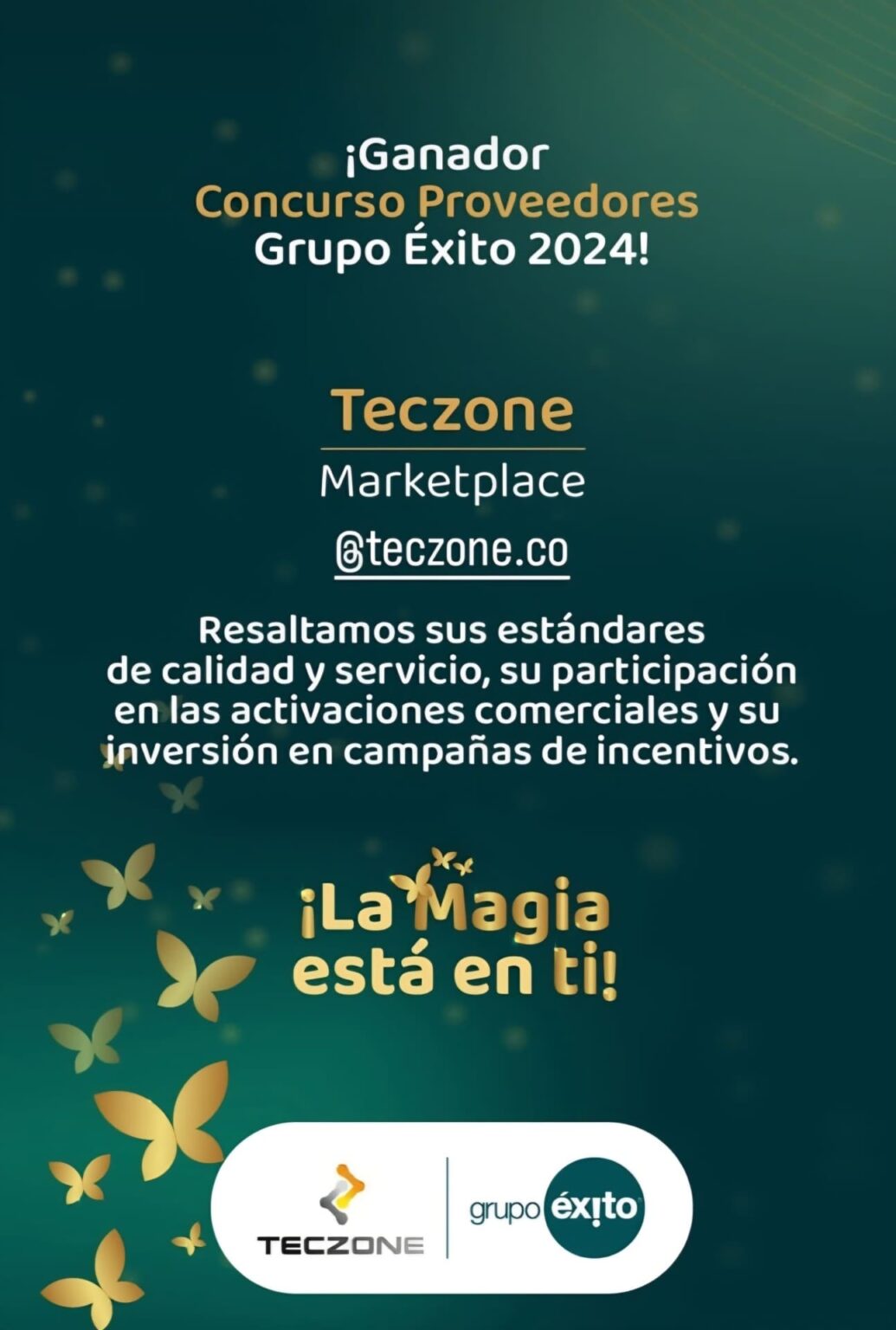Quienes Somos – Teczone