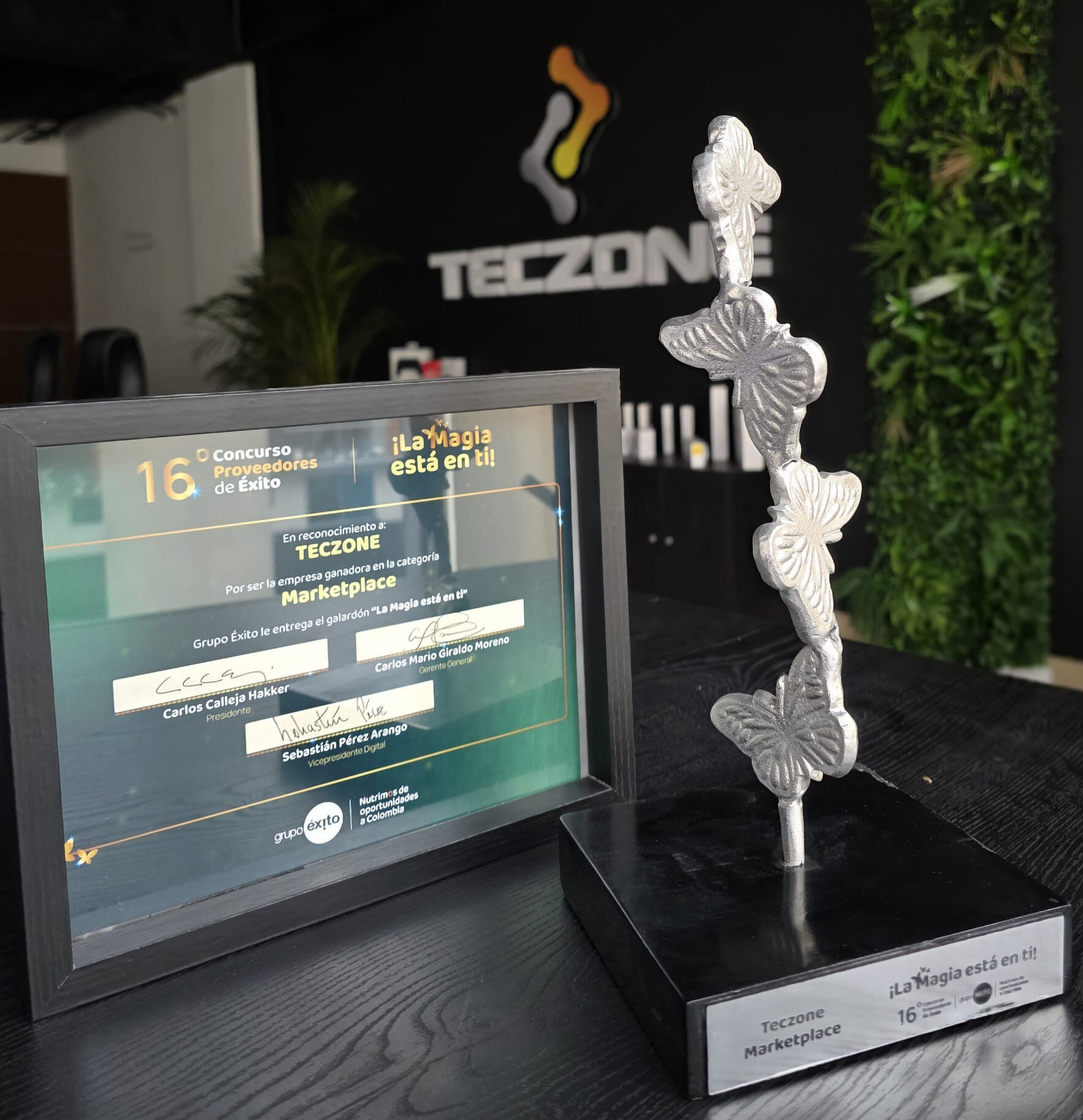 Quienes Somos – Teczone